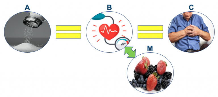 Moderating Factors - Alinea Nutrition
